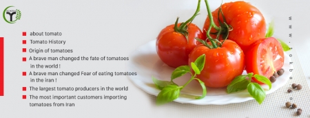 History of Tomato and Origin... First tomato plants in Iran