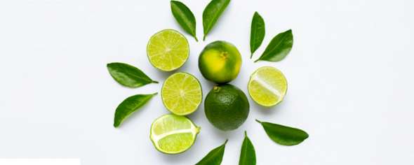 Iranian Lemon, The Differences Between Two Popular Type Of Lemon