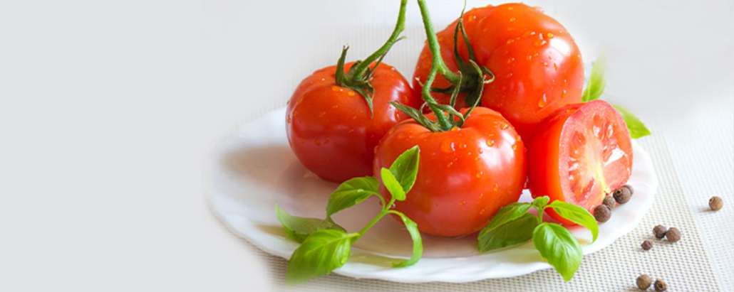 History of Tomato and Origin... First tomato plants in Iran