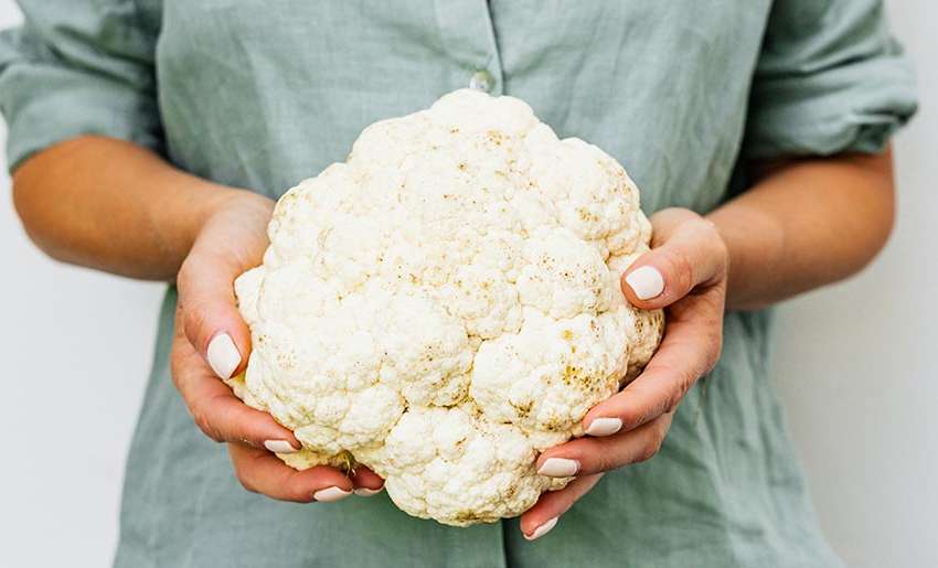 Tokba Trading - Export Fresh Vegetables Fruit and Iranian Pistachio