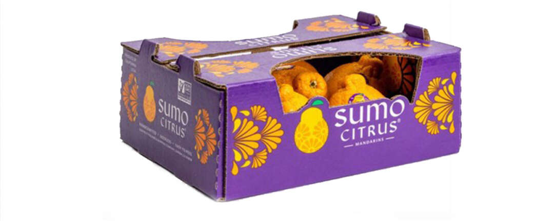Expanded availability of Sumo Citrus this season